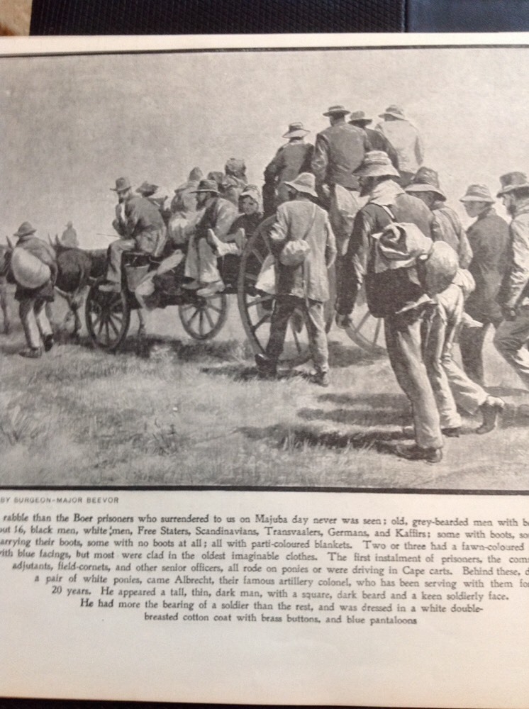 62a Ephemera 1900 Picture Boer War Boer Prisoners Surrender Majuba Day ...
