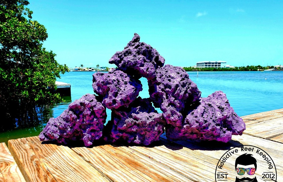 Dry Rock Reef Dry Base Rock With Coralline Algae Spores For Seeding ...