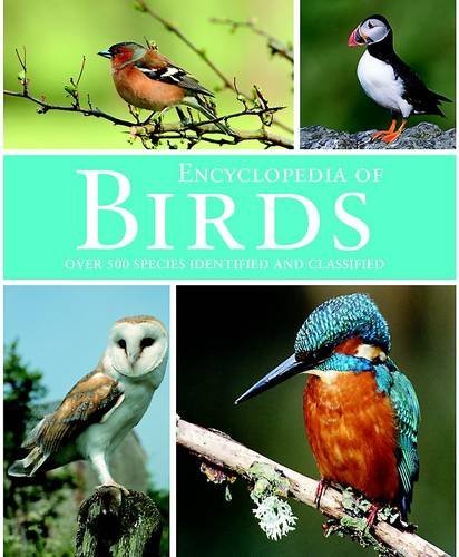 Birds (Animal Encyclopedia) | eBay