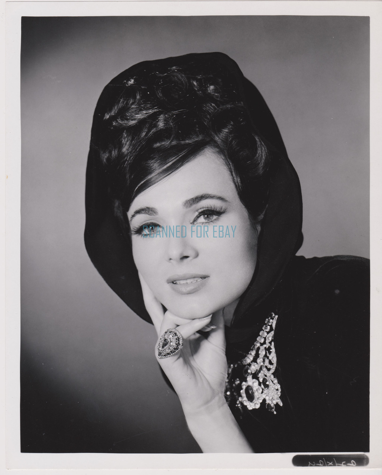OUR MAN FLINT GLAMOUR PUBLICITY 8X10 OF SEXY SPY GIRL GILA GOLAN | eBay