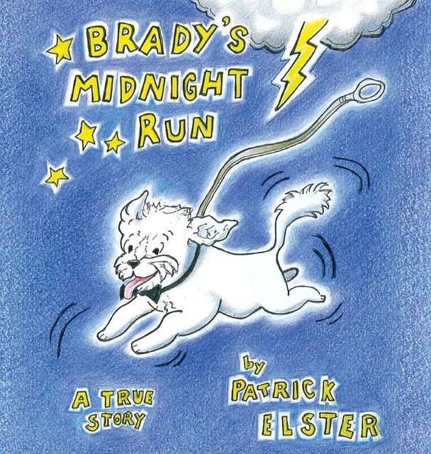 Brady's Midnight Run von Patrick Elster (2018, Gebundene Ausgabe) online kaufen | eBay