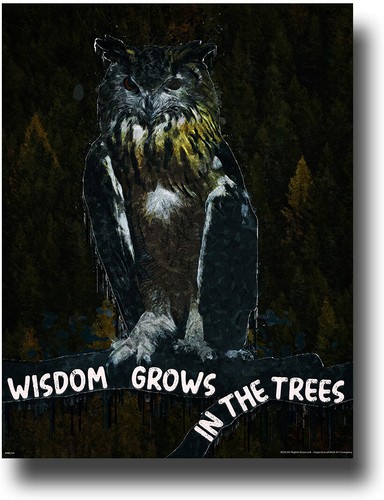 Wisdom Grows In The Trees Owl Motivational Poster Art Print Boys Room ...