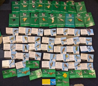 RSPB pin badges job lot 62 Oystercatcher Heron Shag Great Tit Puffin ...