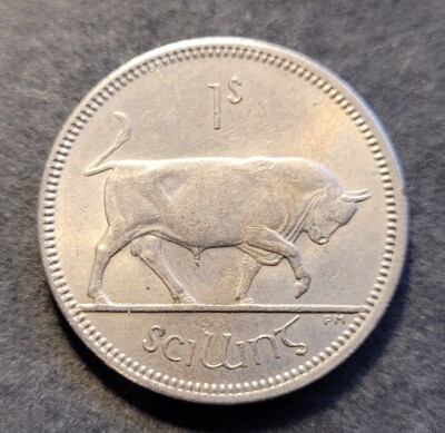 Ireland Shilling Coin 1966 | eBay Australia