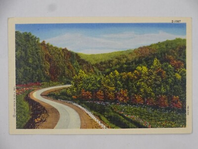 Vintage Curteich Linen Postcard Wooded Landscape IL USA | eBay