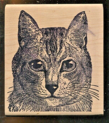 Tabby Cat Large Rubber Stamp Magenta Wood Mounted | eBay