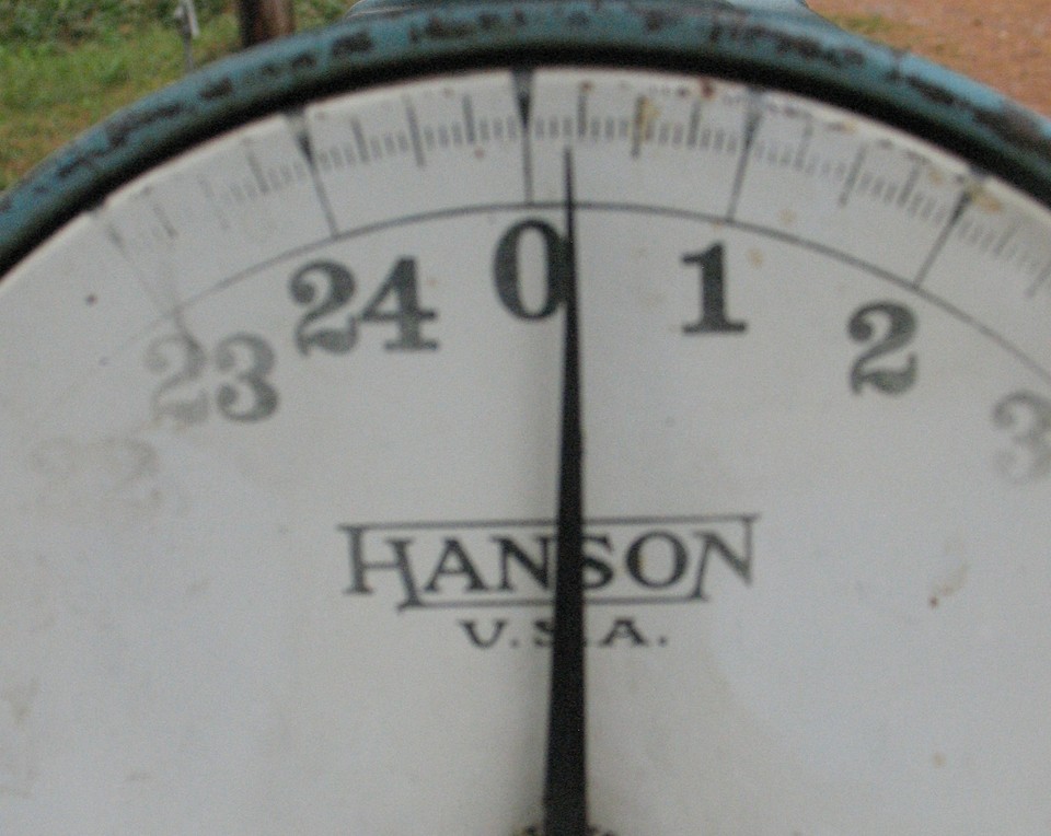 Ant Goldtoned Wire Rimmed Spectacles in Marked W S Brown Huntingdon ...