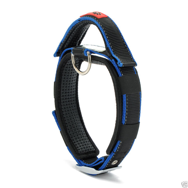 Pet Retractable Dog Puppy Collar with Integrated Leash & Grab Handle | eBay