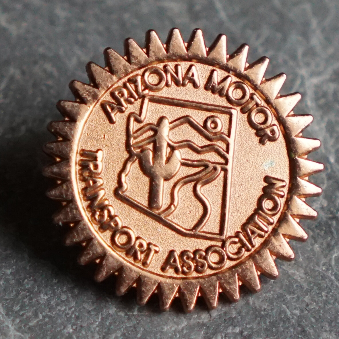 Vintage Pin - Arizona Motor Transport Association Des… - Gem