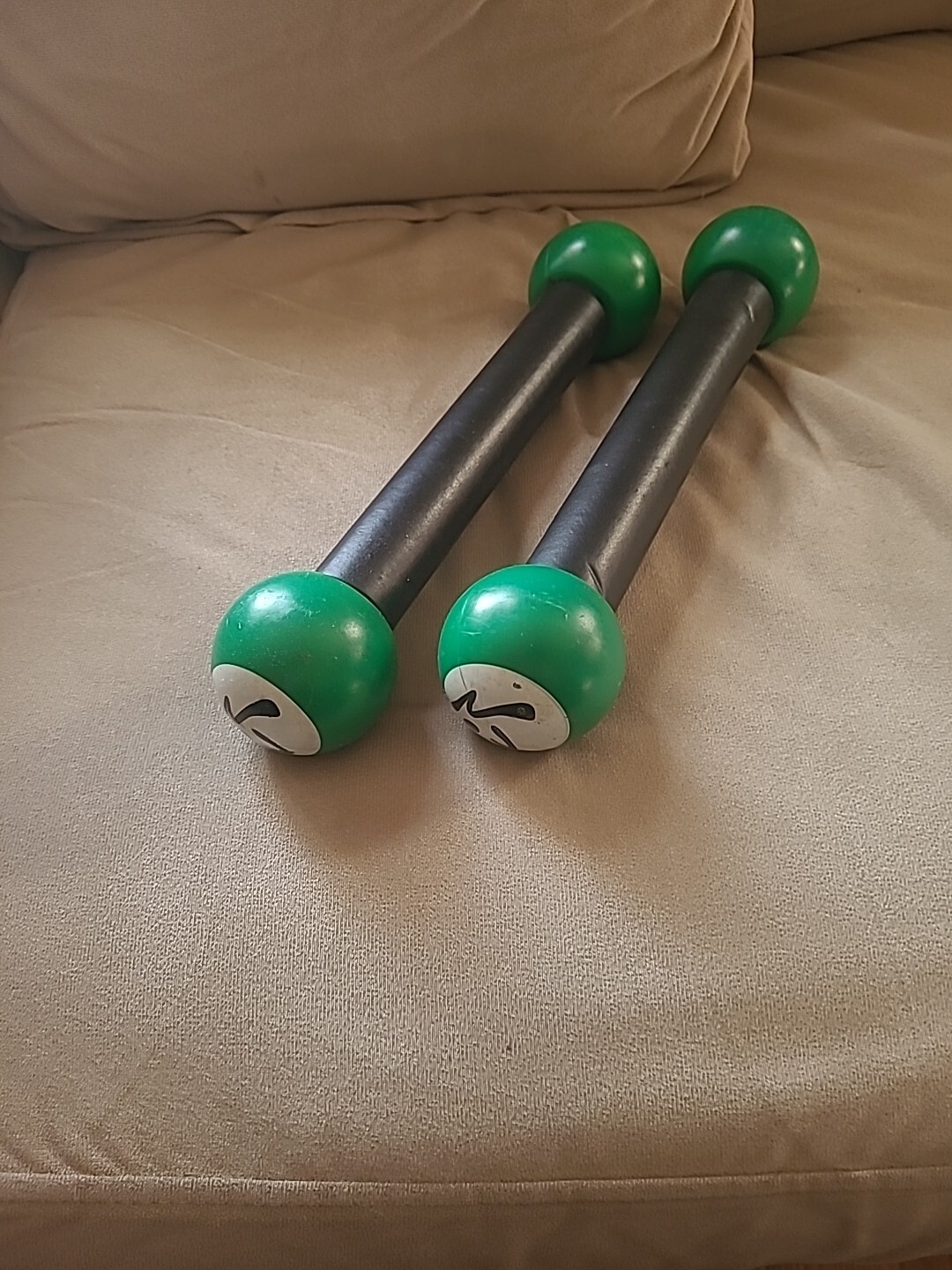 Zumba 1 lb Toning Sticks Shaker Weights (Set of 2) | eBay