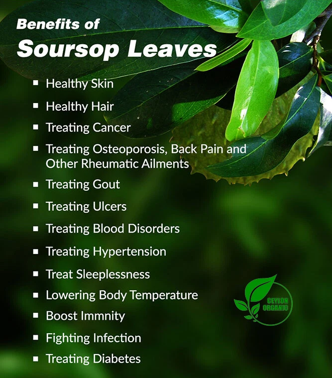 Guyabano Health Benefits