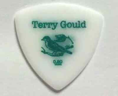 Terry Gould Sand grip Pick GP-TG-RS/08 Triangle 0.80mm × 10 picks | eBay