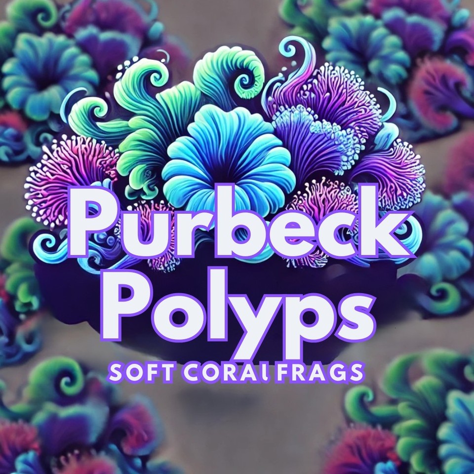 Yellow-green polyp Finger Leather Coral Frag - Not Lps/SPS - Soft Coral ...