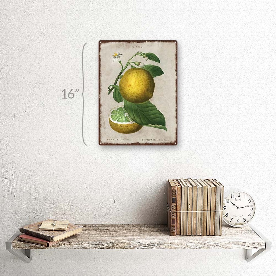 Lemon Vintage Illustration Metal Sign; Wall Decor for Porch, Patio, or ...