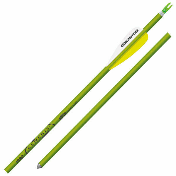 Dozen 12 Easton Genesis Xx75 1820 Arrows Green 30" NASP Target Archery ...