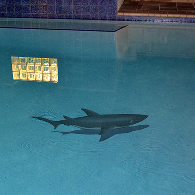 Mosaic Shark w/ shadow for Swimming Pool or Walll - 61" x 24" - FREE ...