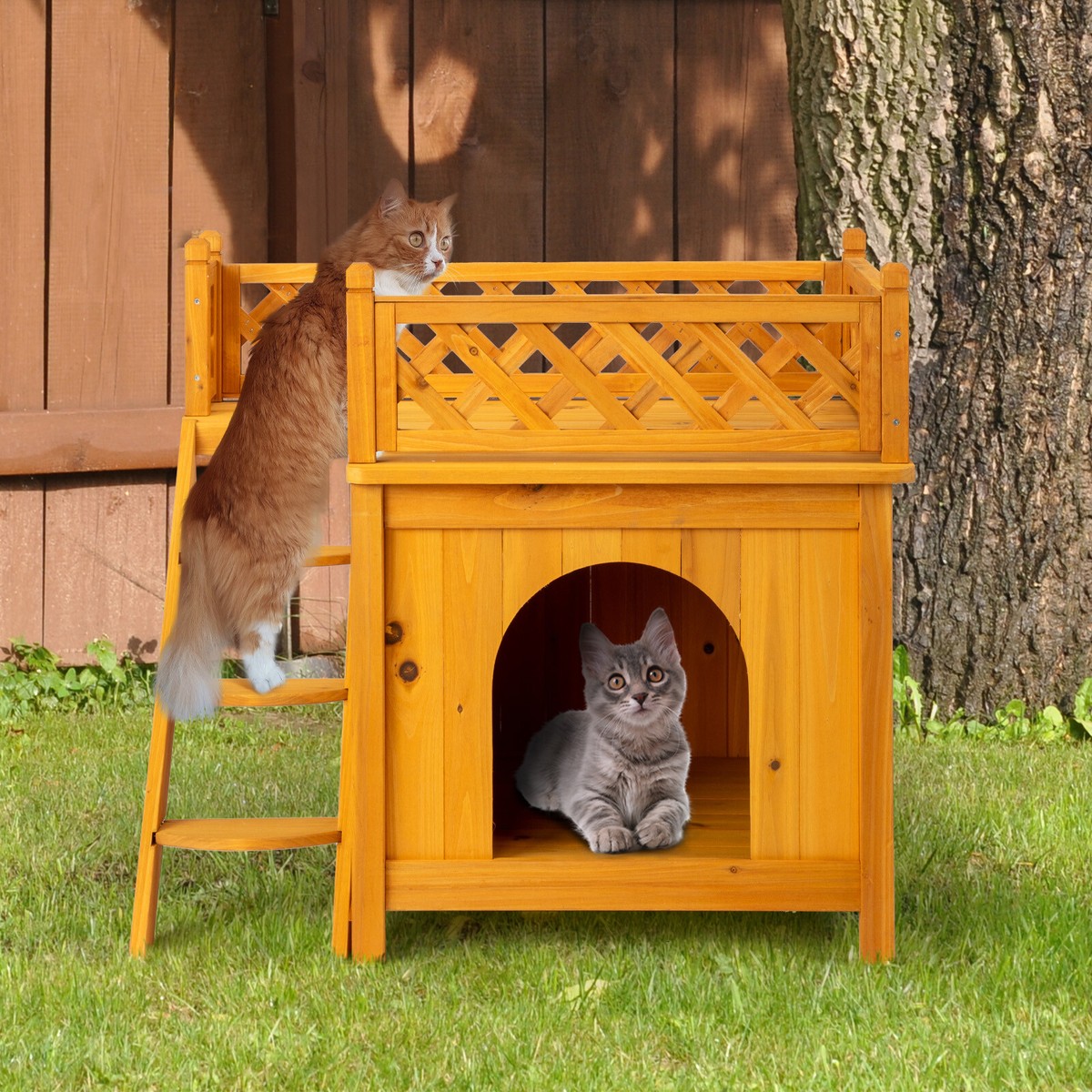 Cat Enclosure Built Around Tree Giving My Cats’ Catio A Makeover