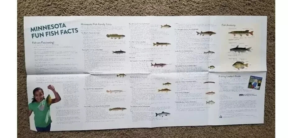 Fishes of Minnesota educational poster 34" by 16" | eBay