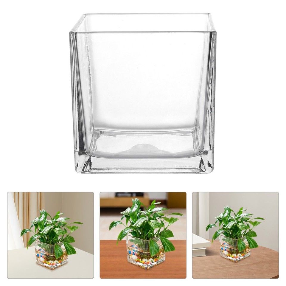 Cube Glass Planter Square Glass Vase Plant Holder Flower Arrangement ...