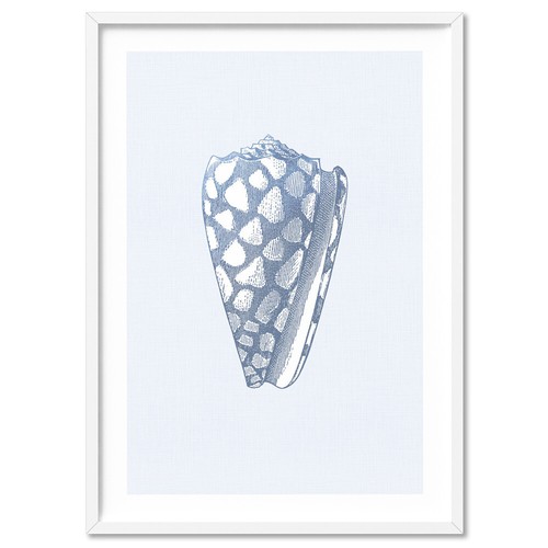 Coastal Wall Art Print. Sea Shell Art Poster. Cone Shell. Hamptons Blue ...