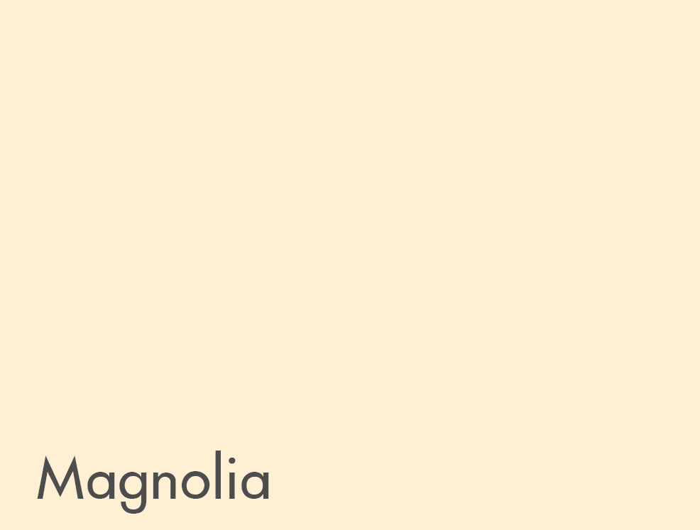 Magnolia Bathroom Paint
