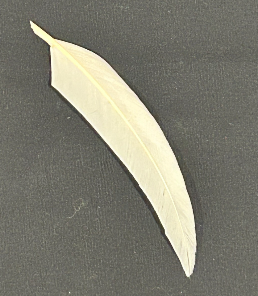 American Girl Felicity Reading Writing Lesson - 1-piece - NEW Feather ...