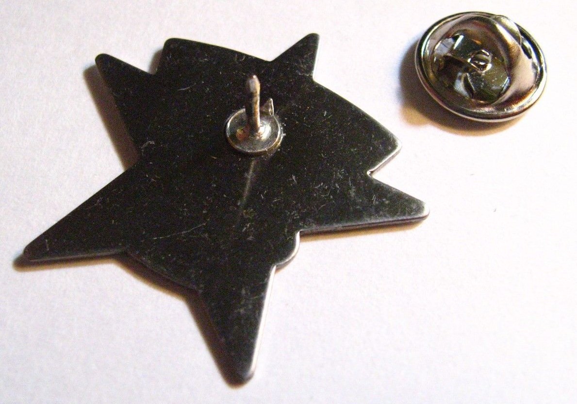 Senior Companions Lapel Pin - 2009 National Assistance Friendship ...