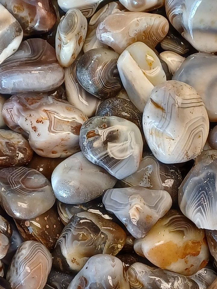 Botswana Agate rough 1-2" A+ pound lbs tumbling lapidary banding ...
