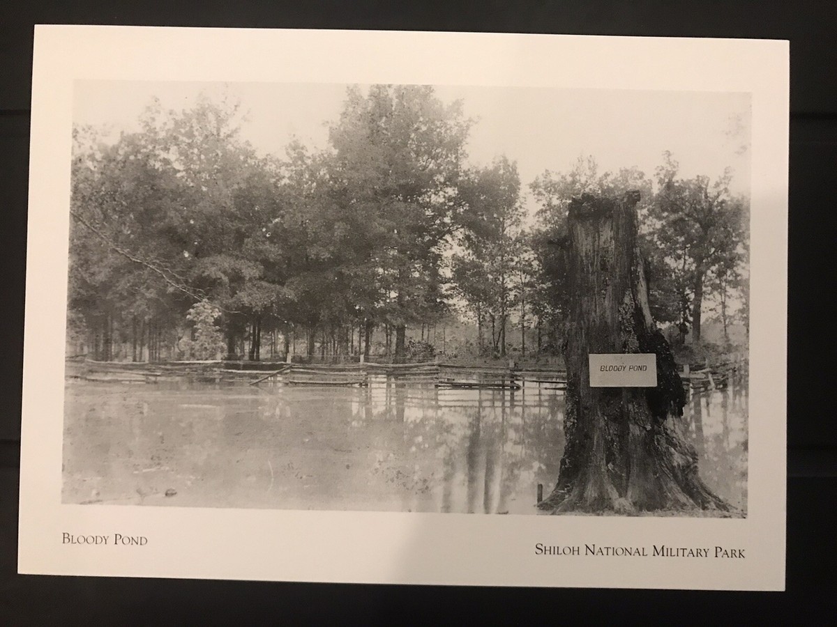 Battle Of Shiloh Bloody Pond
