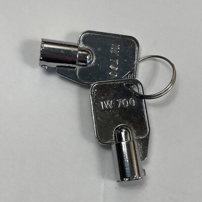 IW700 Tubular Barrel Replacement Keys, 2 keys | eBay