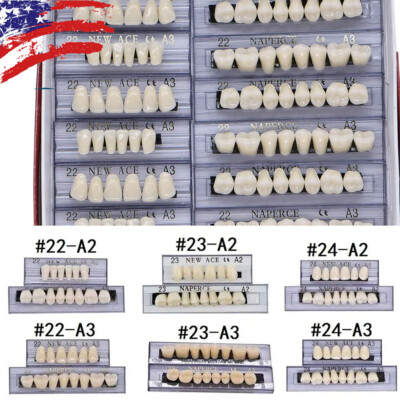 168X Acrylic Resin A1/A2/A3 Dental Denture Teeth Upper Lower Shade 22 ...