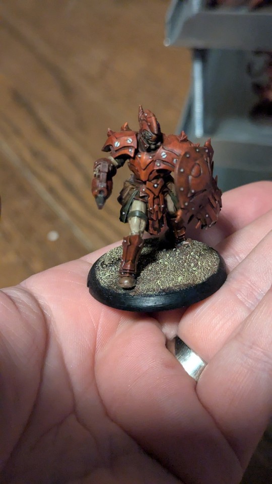 Warmachine Orgoth Sea Raiders Lot Over 650$ MSRP | eBay