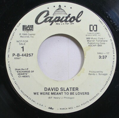 Rock Promo 45 David Slater - We Were Meant To Be Lovers / Lo | eBay ...
