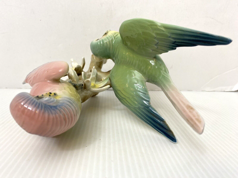 Wilhelm Rittirsch Dresden Porcelain Parakeet Parrot Bird Figurine Not ...