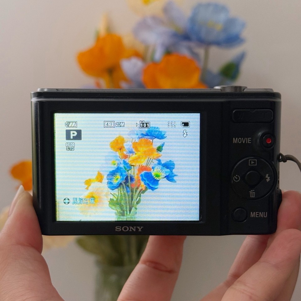 Sony Cyber-shot DSC-W800 20.1 MP 5x Optical Zoom Digital Camera Fast ...