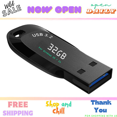 32GB Bootable USB 3.2 for Windows 10/11, Password Reset, UEFI/Legacy ...