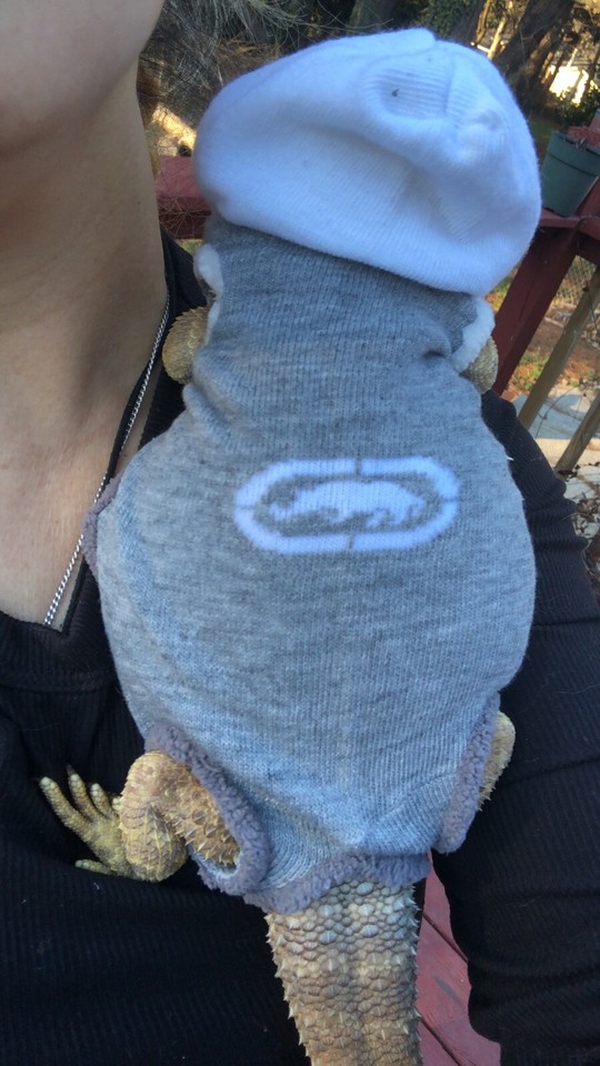 ECKO PRINTS #3 XLRG SLEEVELESS BODY HOODIE SHIRT 4 UNISEX BEARDED ...