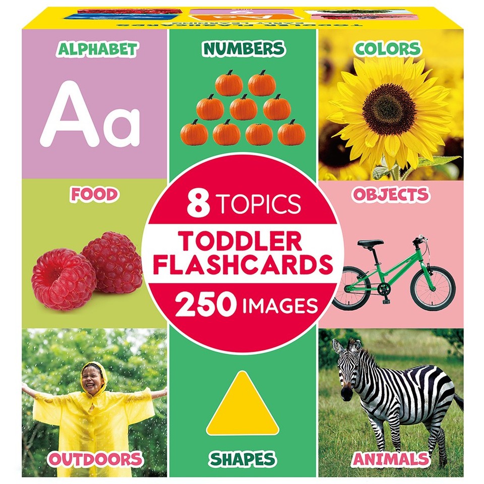 250 Flash Cards for Toddlers Extra Thick Double-Sided Educational ...