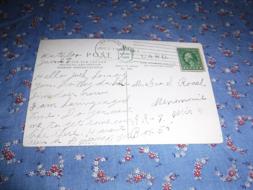 Old Postcard 1913 Waterloo Wisconsin Highland Cattle | eBay