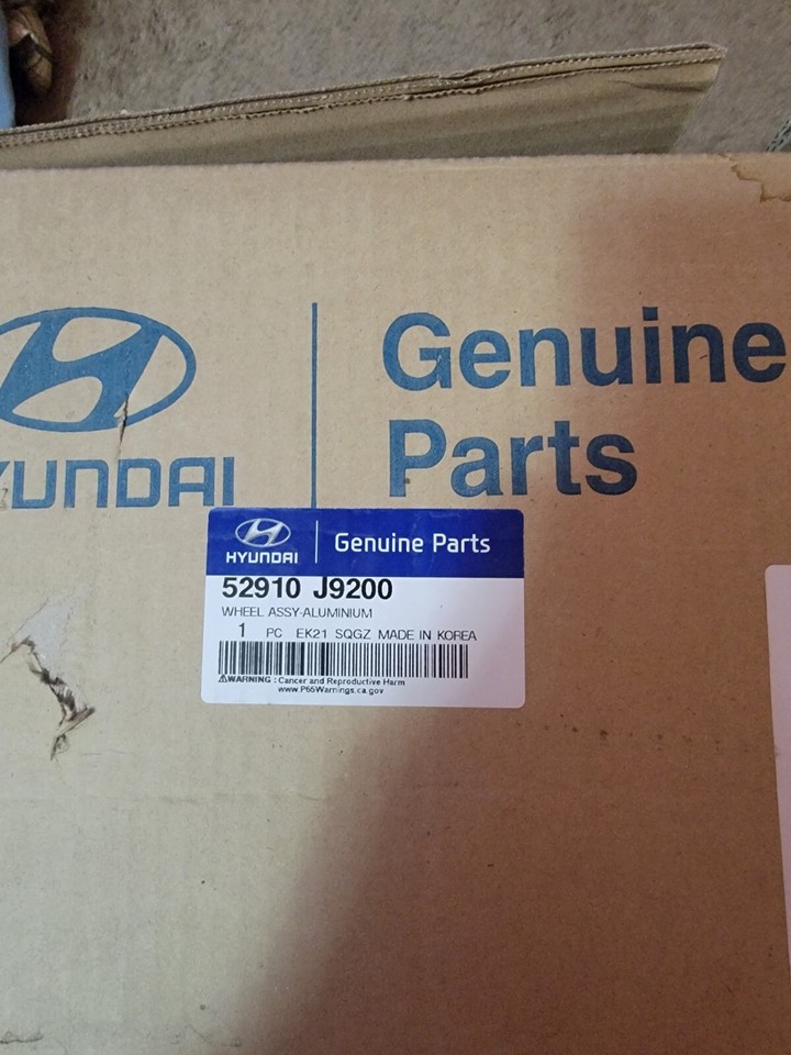 NEW OEM 17 Inch Alloy Wheel For Hyundai Kona Electric, Kona Silver 52910-J9200 | eBay