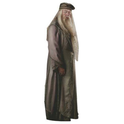 Professor Albus Dumbledore Harry Potter Die Cut Blank Note Card | eBay