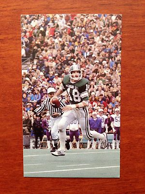 CFB 1981 MICHIGAN STATE SPARTANS Football Schedule College FB | eBay
