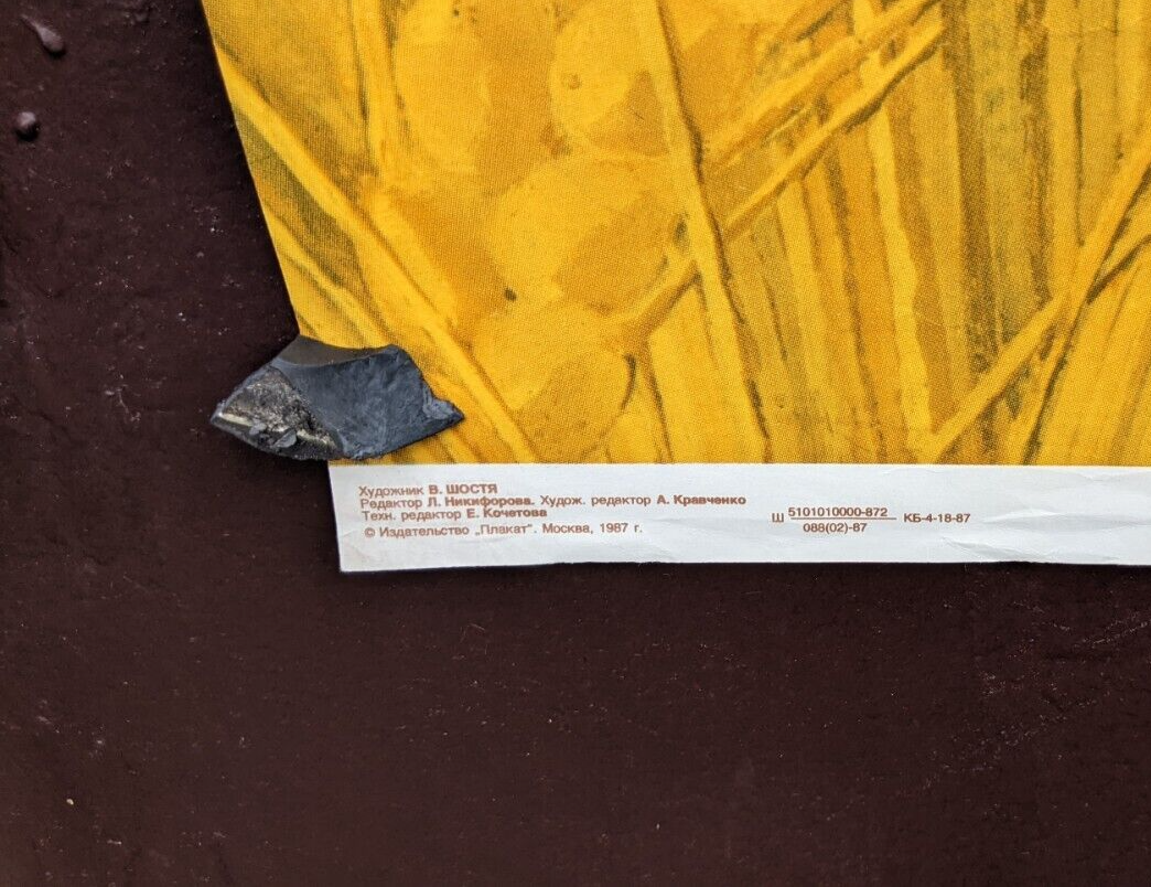 Original Soviet PROPAGANDA Art Poster USSR Farming Bread Agriculture ...