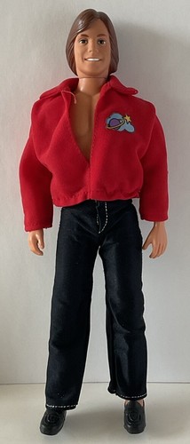 HARDY BOYS Shaun Cassidy 1978 Kenner VTG Joe Hardy Action Figure | eBay