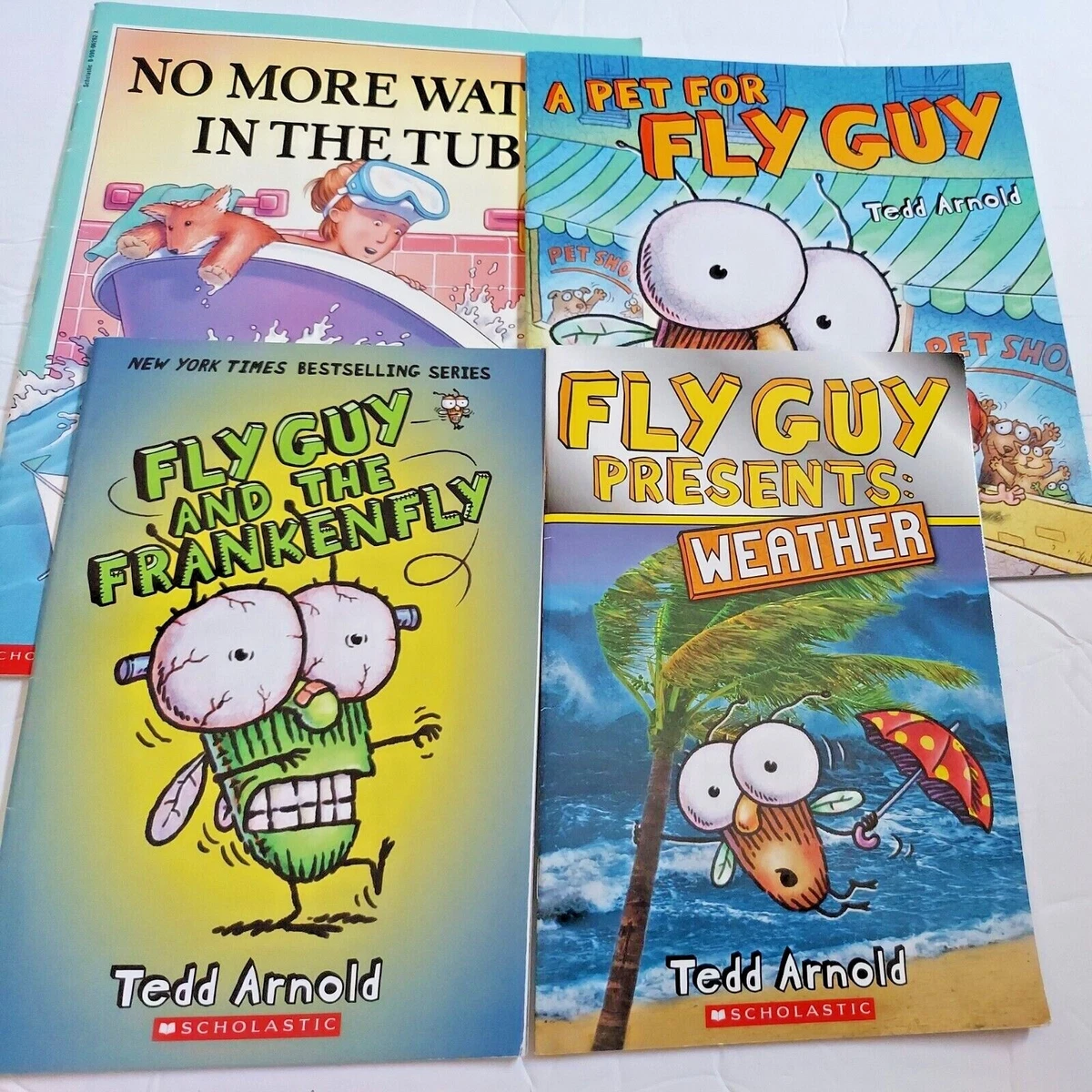 Fly Guy Book Cover