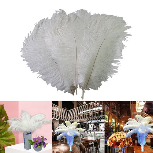 10Pcs Natural White Os-trich Feathers 12-14 in/8-10 in Diy Carnival ...