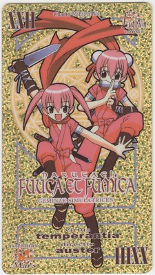 Negima! Magister Negi Magi Pactio Card #XXII #XXIII Fuka Fumika ...