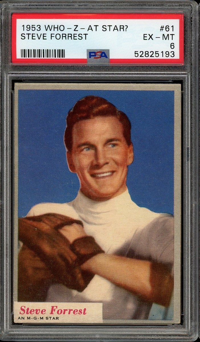 Steve Forrest Address