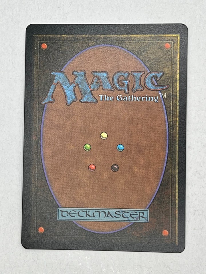 MTG Magic the Gathering Forest (C) - Limited Edition Beta - NM | eBay