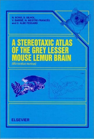 A Stereotaxic Atlas of the Grey Lesser Mouse Lemur Brain (Microcebus ...